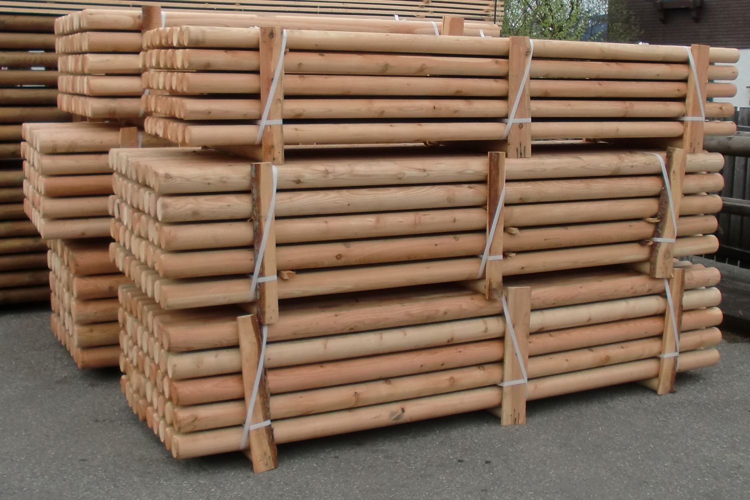 Roga - Holz - Rundholz